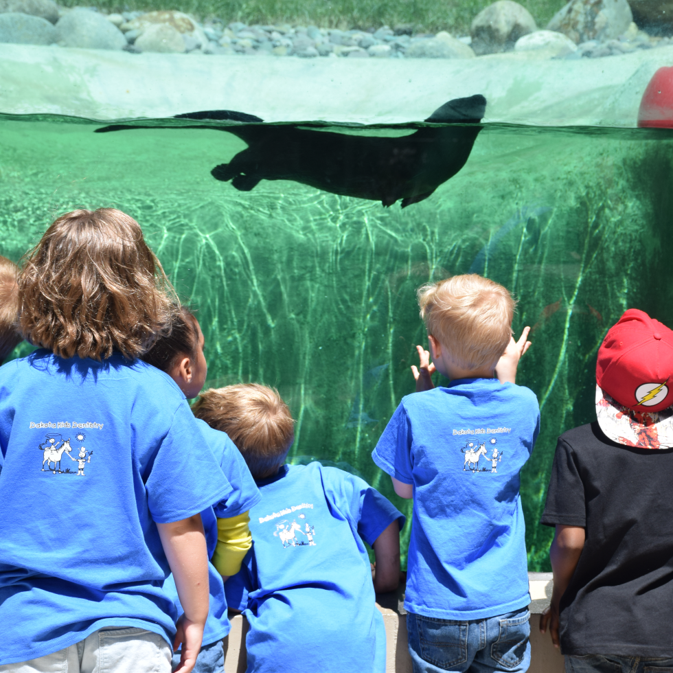 Programs & Classes | Roosevelt Park Zoo