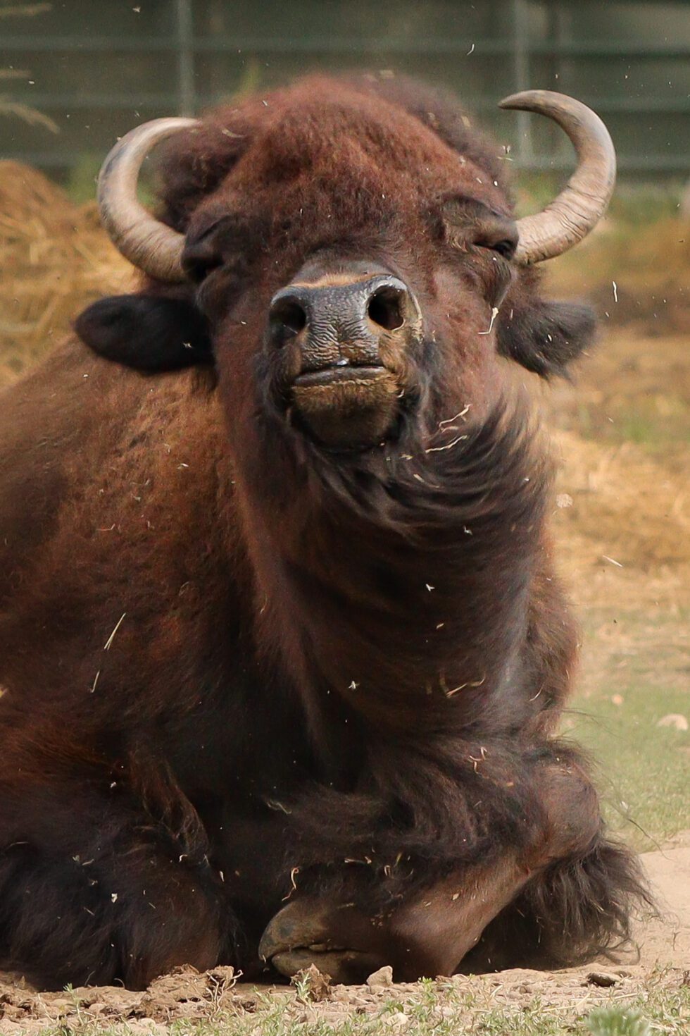 Roosevelt Park Zoo | Let the world surround you at the Roosevelt Park Zoo