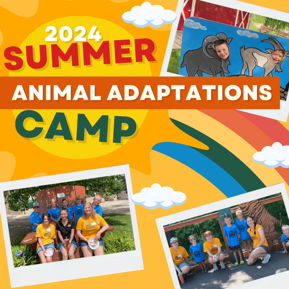 Summer Camp | Roosevelt Park Zoo