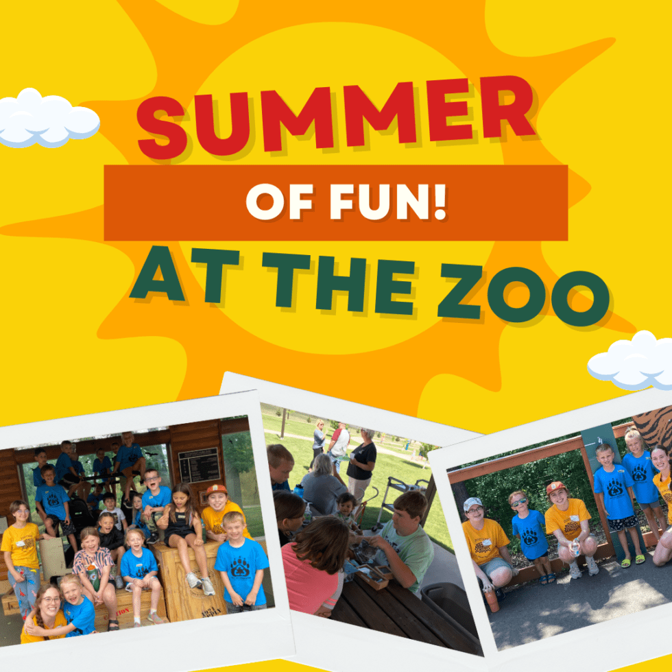 Roosevelt Park Zoo | Let the world surround you at the Roosevelt Park Zoo